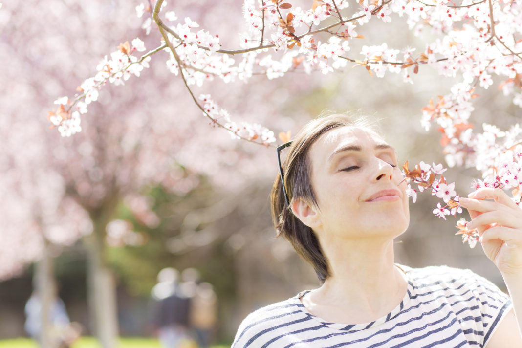 The power of smell-can it remind you of some memories? - Butterfly Labs