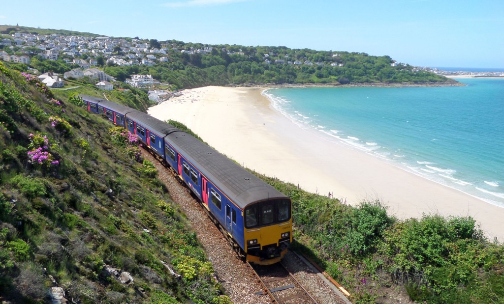 Things to See and Do With Your Dog in Cornwall - Butterfly Labs