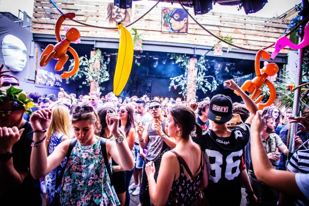 Tips for Throwing a Terrific Party - Butterfly Labs