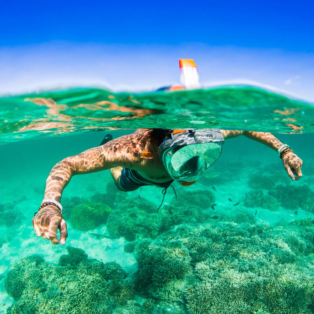 Top 4 Best Full Face Snorkel Mask in 2024 - Butterfly Labs