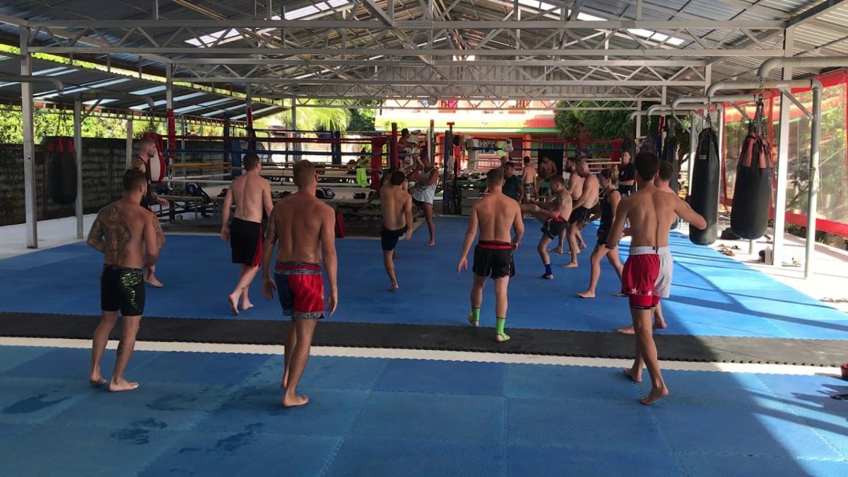 Suwit for Fitness Center and Sports - 2025 Guide - Butterfly Labs