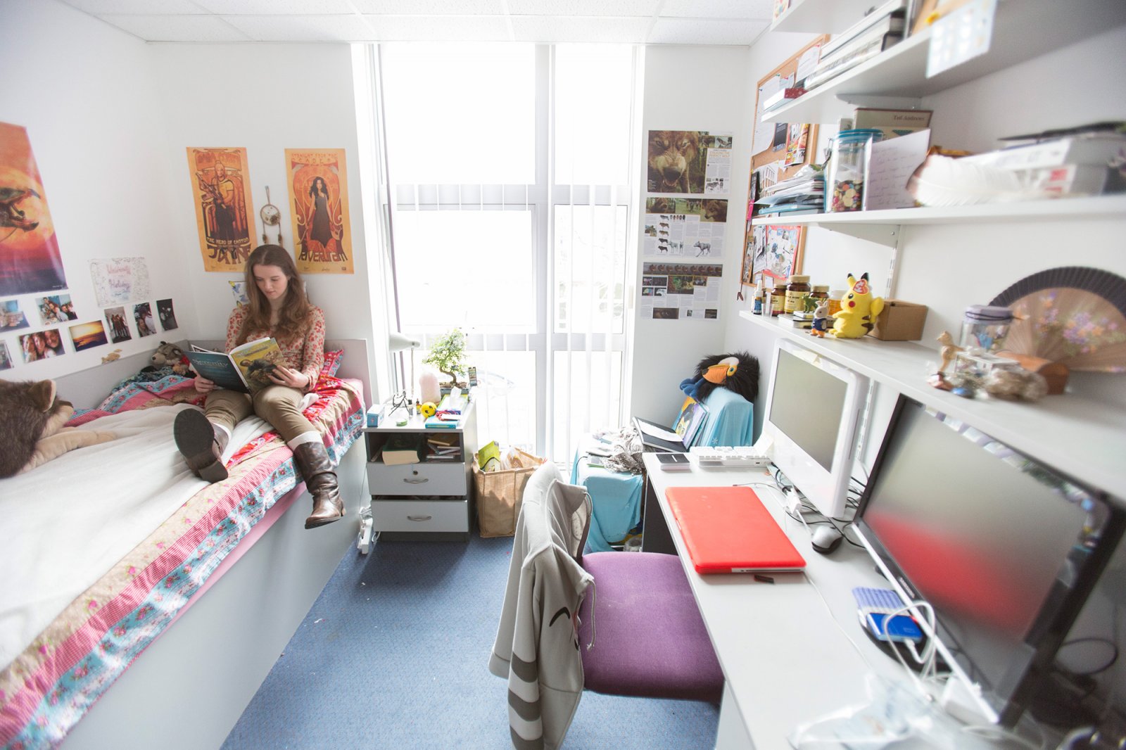 7 Most Important Tips to Find the Perfect Student Accommodation - 2024 ...