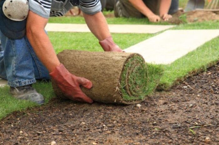 Homeowner's Guide to Sod Installation: Pricing & Benefits - Butterfly Labs