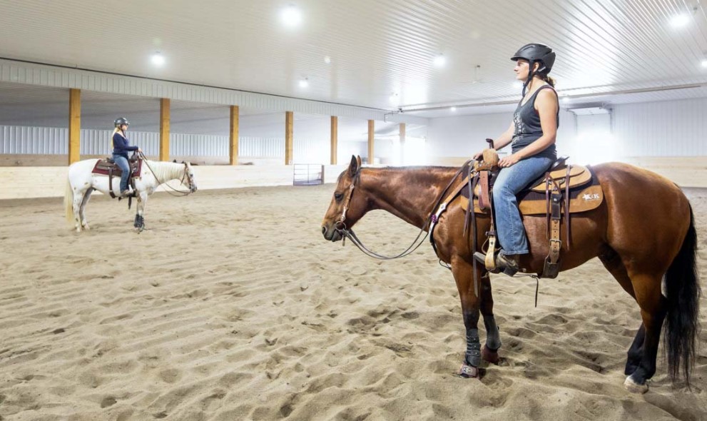 How to Build a Riding Arena on a Budget - Butterfly Labs