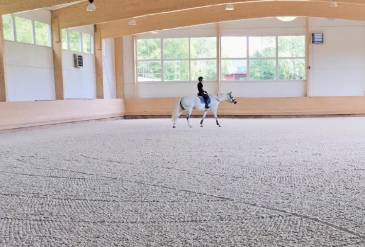 How to Build a Riding Arena on a Budget - Butterfly Labs