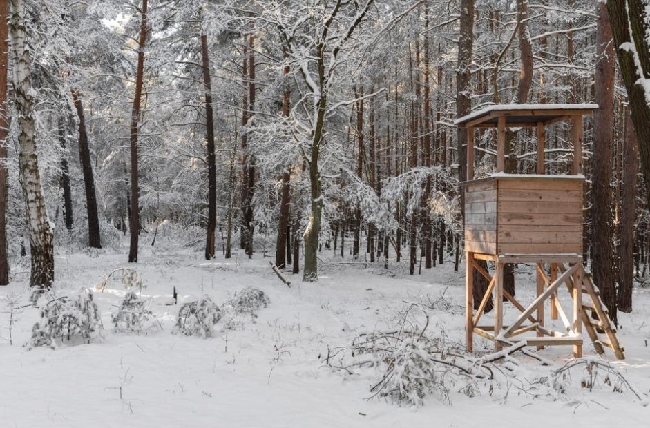 9 Benefits to Hunting in the Winter - Butterfly Labs