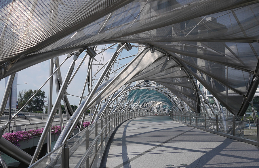 The Skeletons of Skyscrapers: Concrete and Steel in Modern Architecture ...